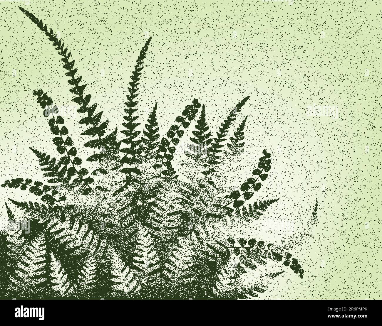 Fern leaf texture Stock Vector Images - Alamy