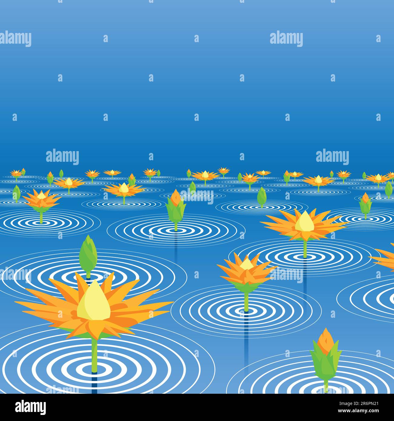 Editable vector illustration of lotus flowers emerging from a lake ...