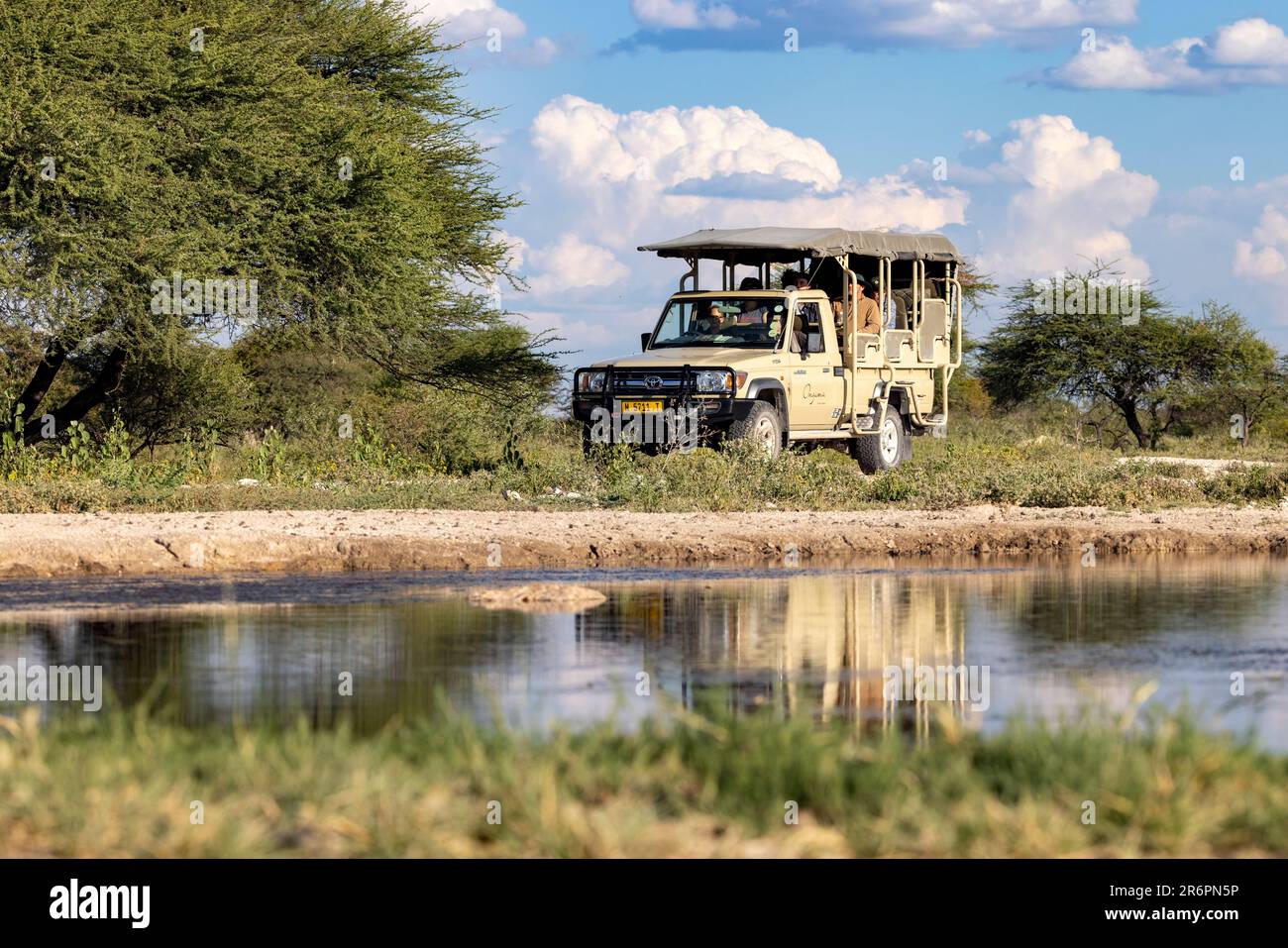 Game Drive at Onguma Game Reserve, Namibia, Africa Stock Photo - Alamy