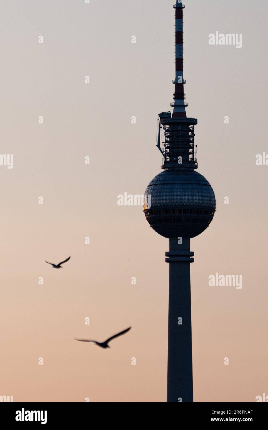 Berlin, Germany. 11th June, 2023. Birds fly in front of the TV tower in ...