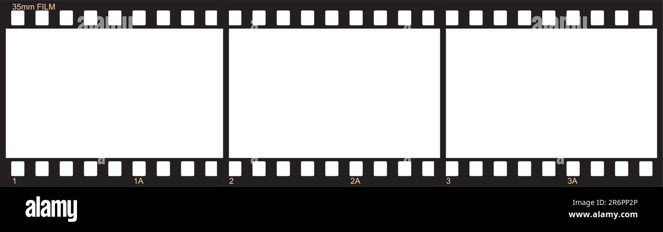 Vector illustration of vintage photographic 35 mm film sheet Stock ...