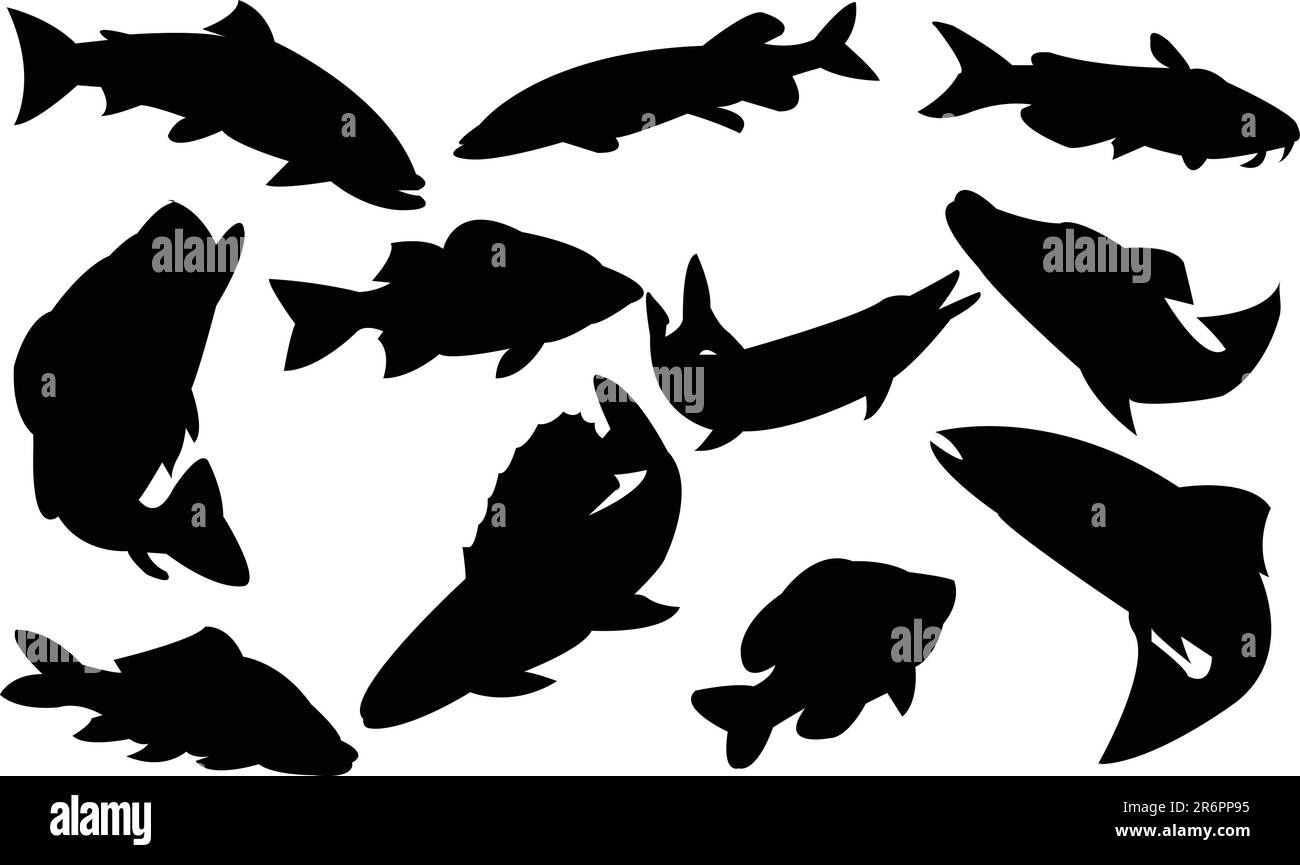 fishes collection - vector Stock Vector Image & Art - Alamy