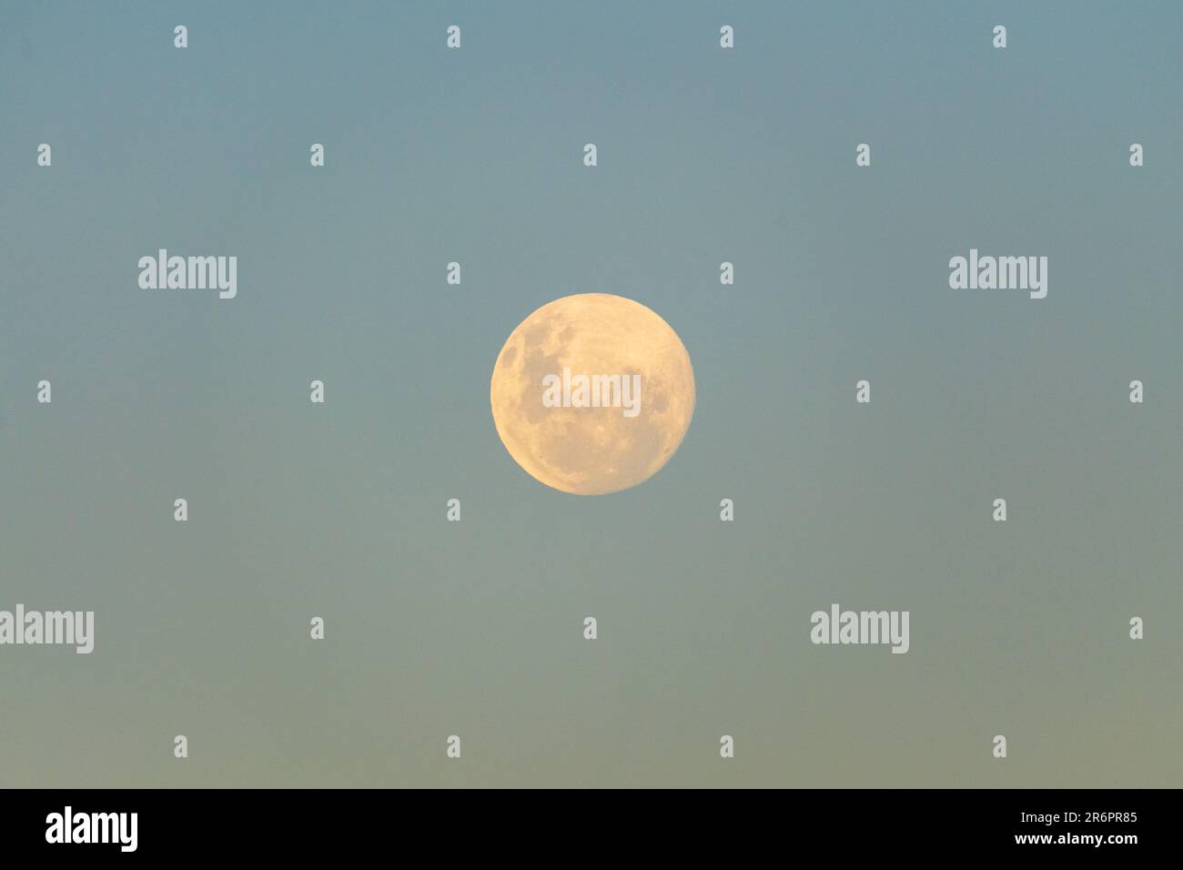 A full bright moon on a dusky blue background sky. Wallpaper, desktop ...