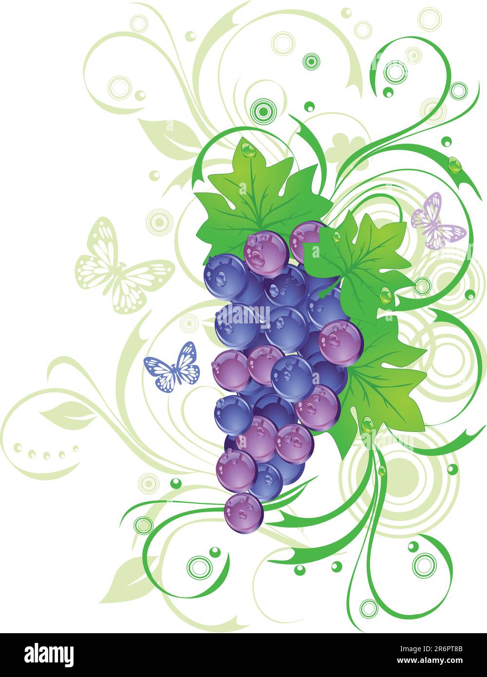 Grapevine with drops of water against green leaves, vector illustration ...