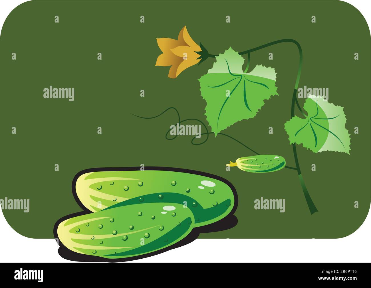 Vector color illustration of a cucumber Stock Vector Image & Art - Alamy