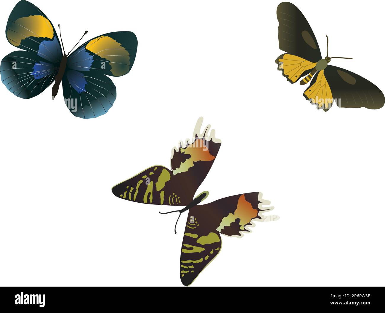 Three butterflies Stock Vector Images - Alamy