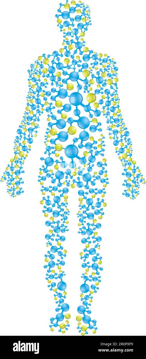 Human body in scientific presentation, editable vector format Stock ...