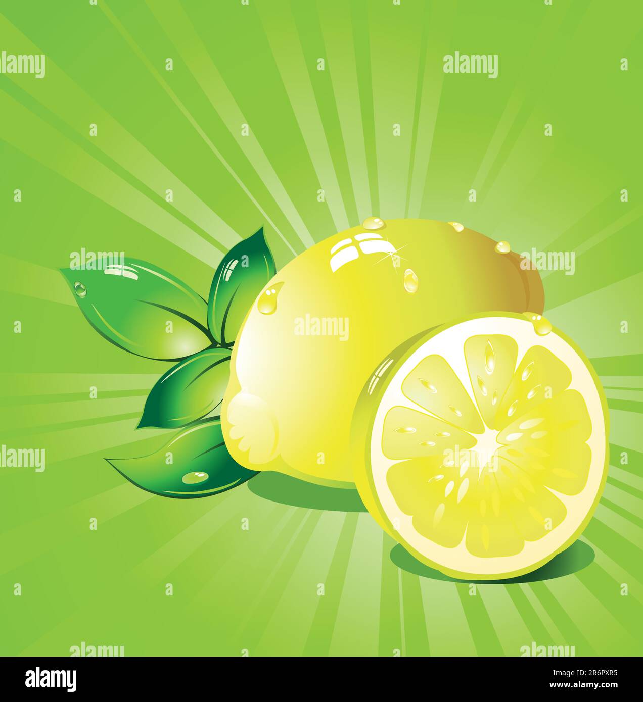 Lemon citrus fruit. Vector Stock Vector Image & Art - Alamy