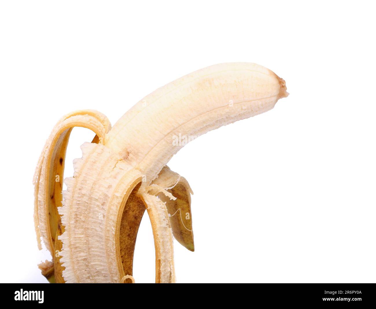 Raw jungle Cut Out Stock Images & Pictures - Alamy