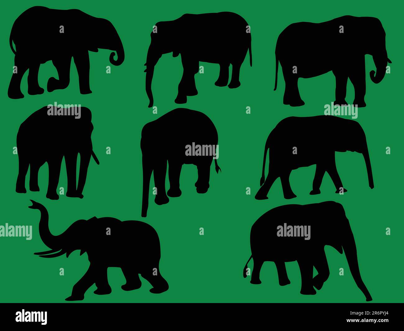 Bull elephant eye Stock Vector Images - Alamy