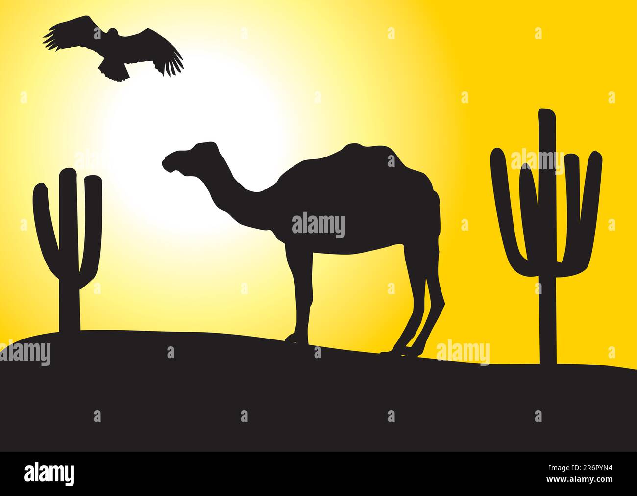 vector illustration of desert with camel, eagle and cacti Stock Vector Image & Art - Alamy