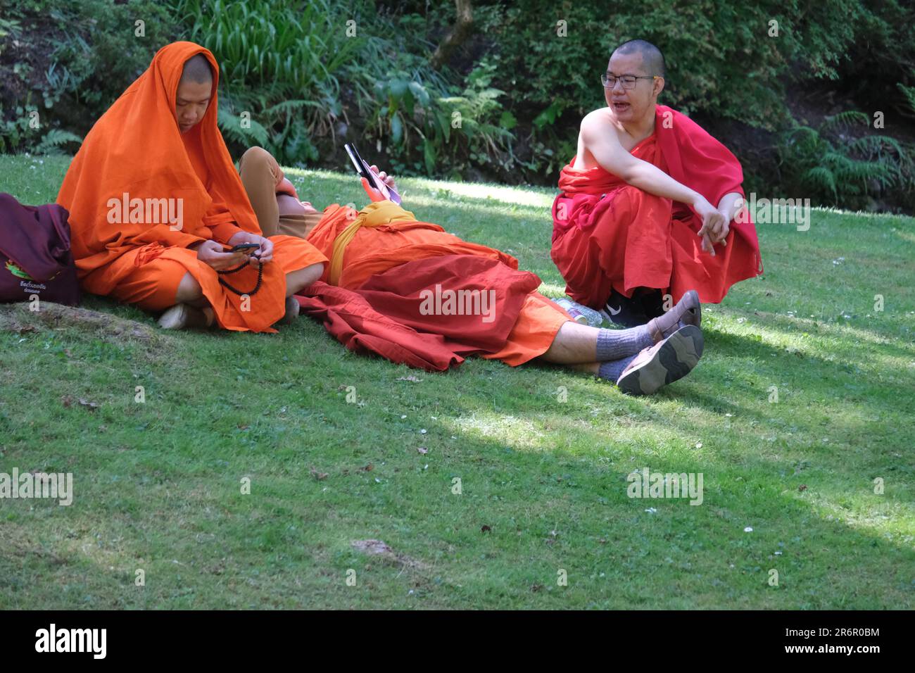 Three buddhist monks, in red and orange robes, talking, sitting on ...
