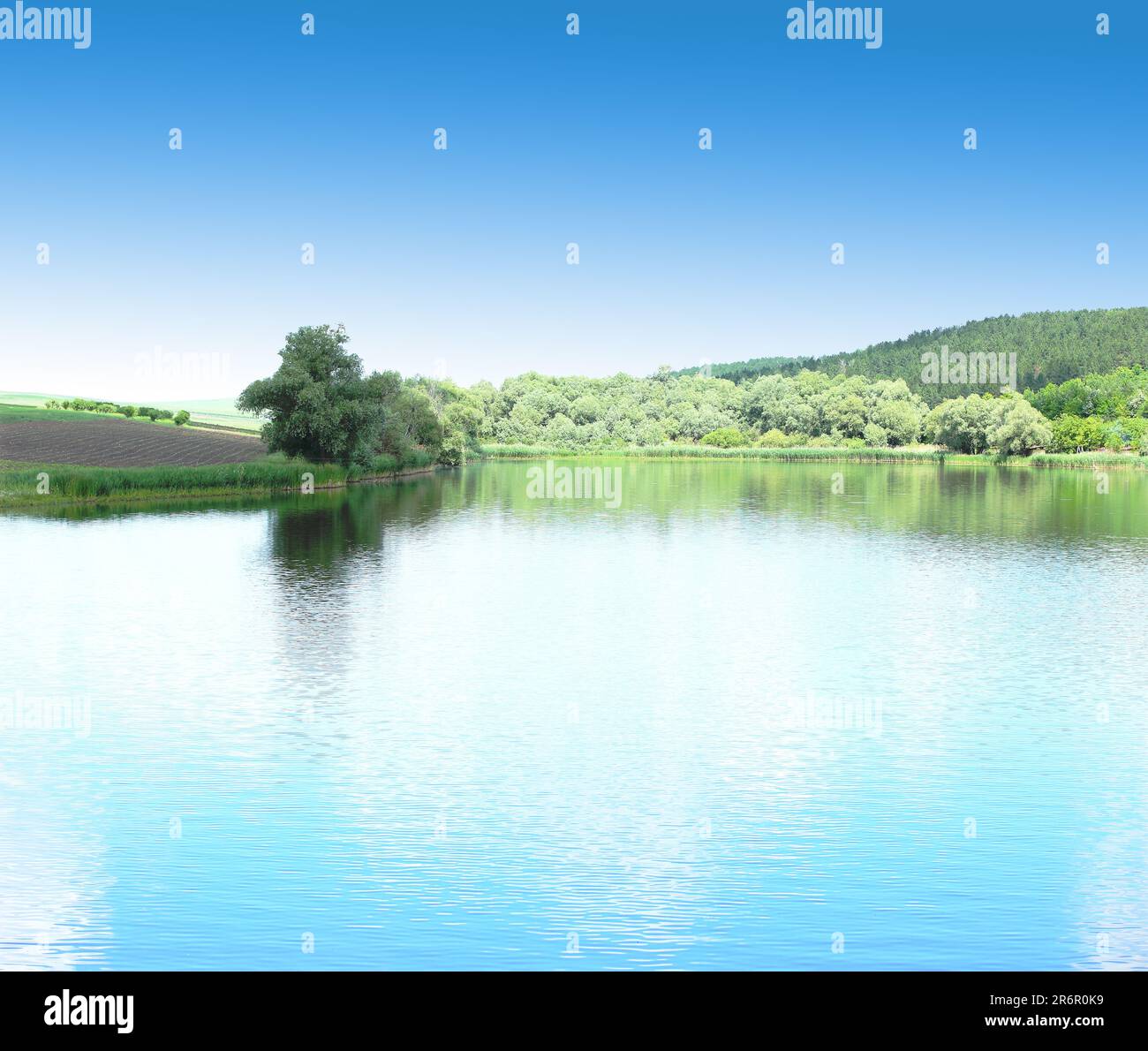 A lake, reflection of trees as a background Stock Photo - Alamy