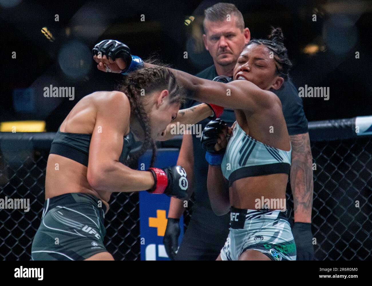 Belbita hi-res stock photography and images - Alamy