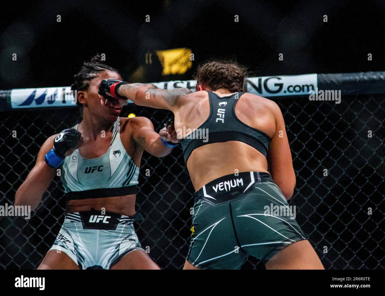 Belbita hi-res stock photography and images - Alamy