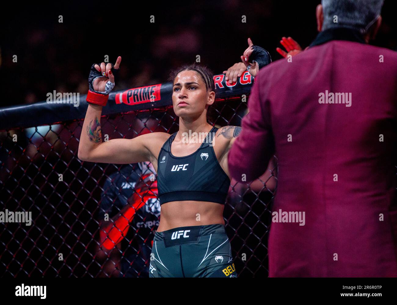 Belbita hi-res stock photography and images - Alamy