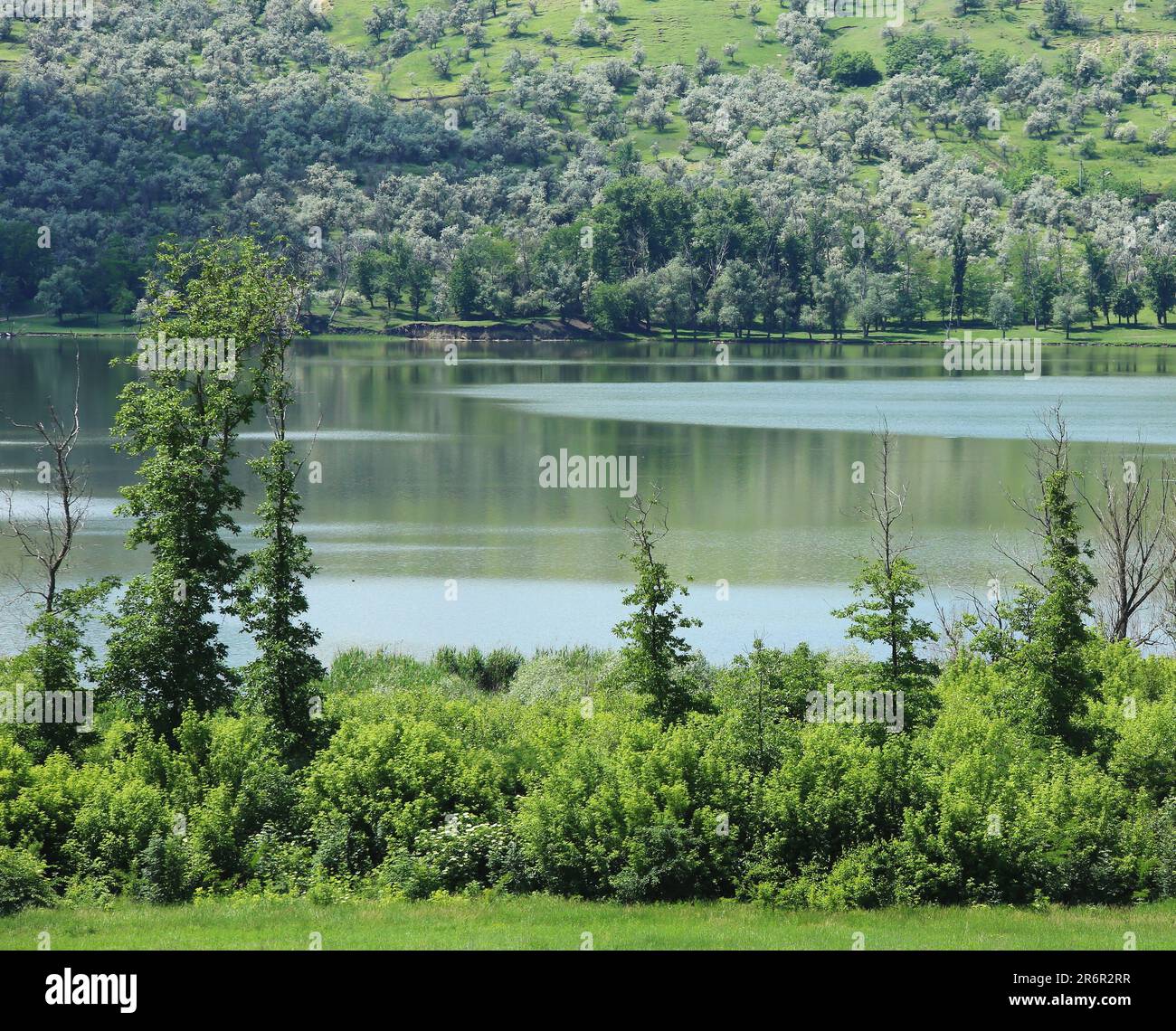 A summer lake near the hill. Without sky Stock Photo - Alamy