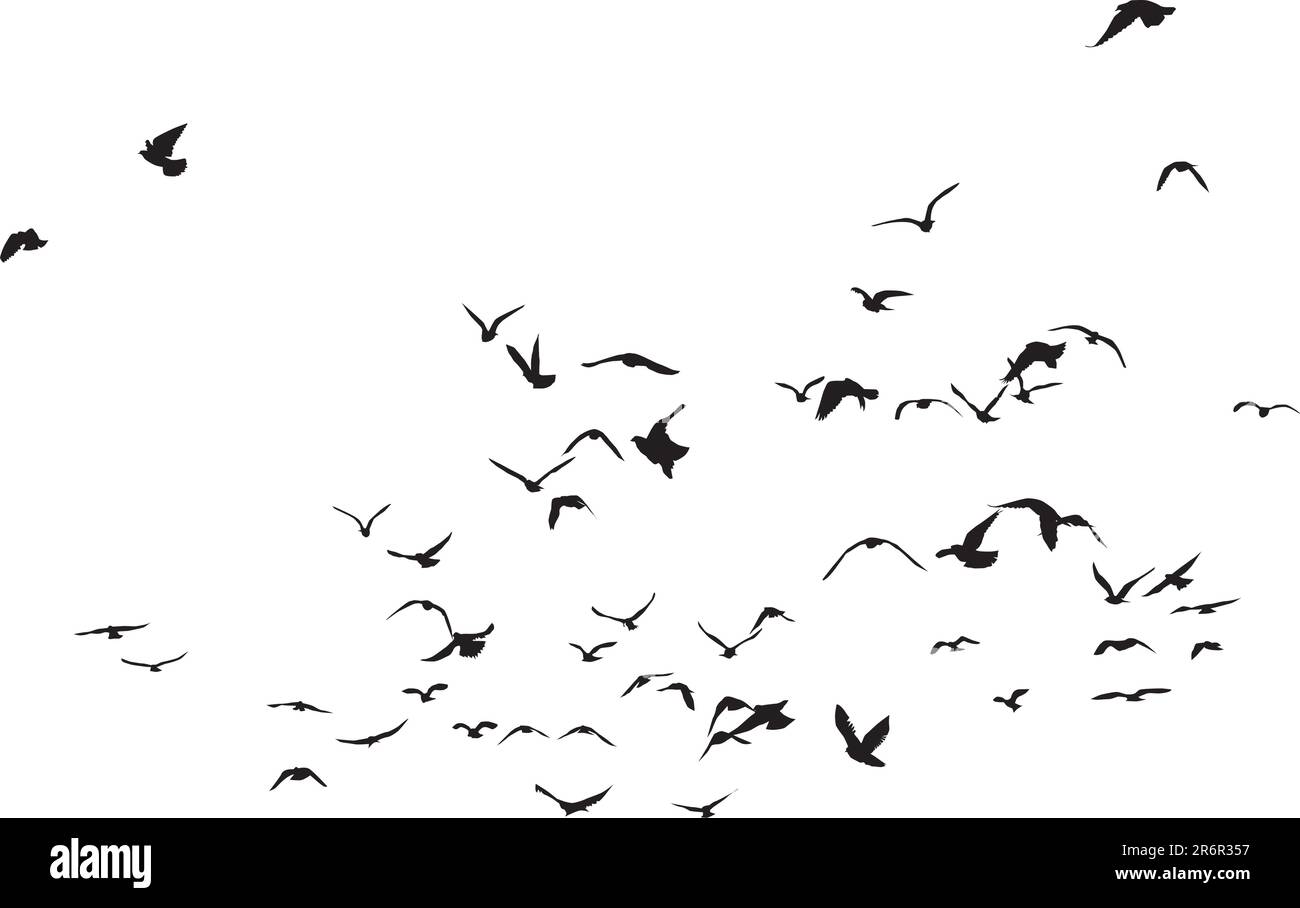 Pako artist Black and White Stock Photos & Images - Alamy