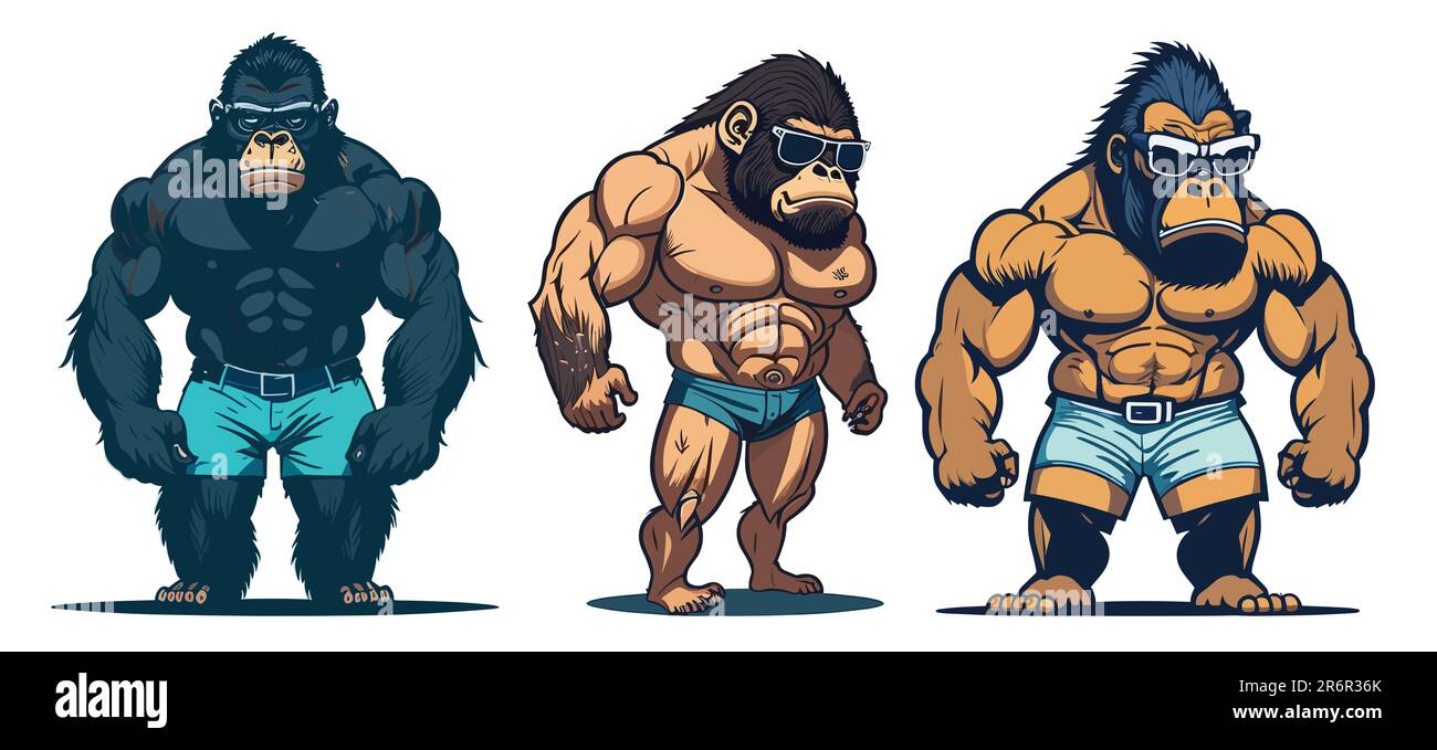 set of three cartoons of bodybuilding monkeys, gorillas isolated in ...