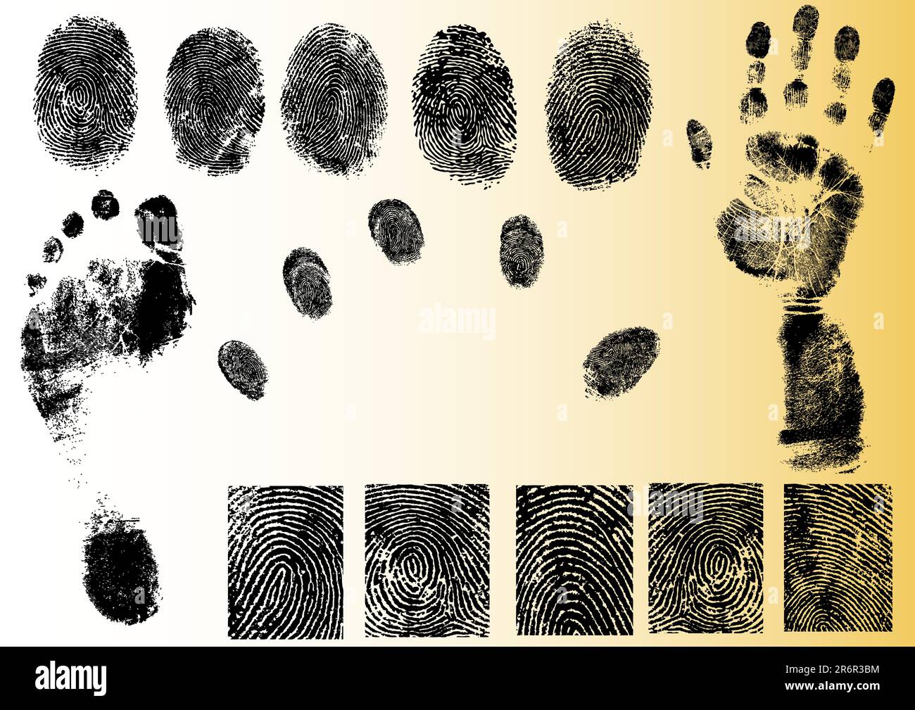White picture fingerprint on black hi-res stock photography and images ...
