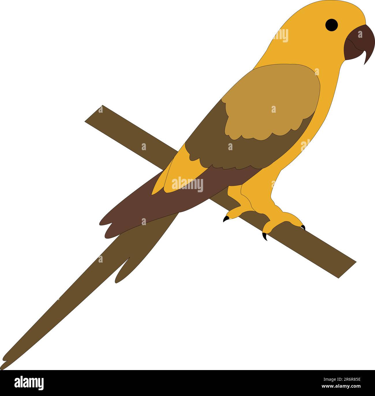 illustration of parrot - vector Stock Vector Image & Art - Alamy