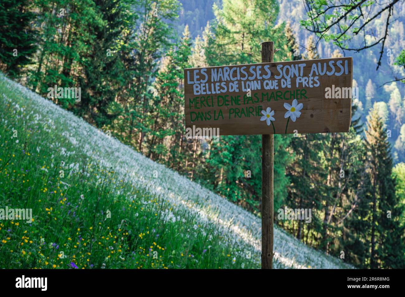 31 may 2023 hi-res stock photography and images - Alamy