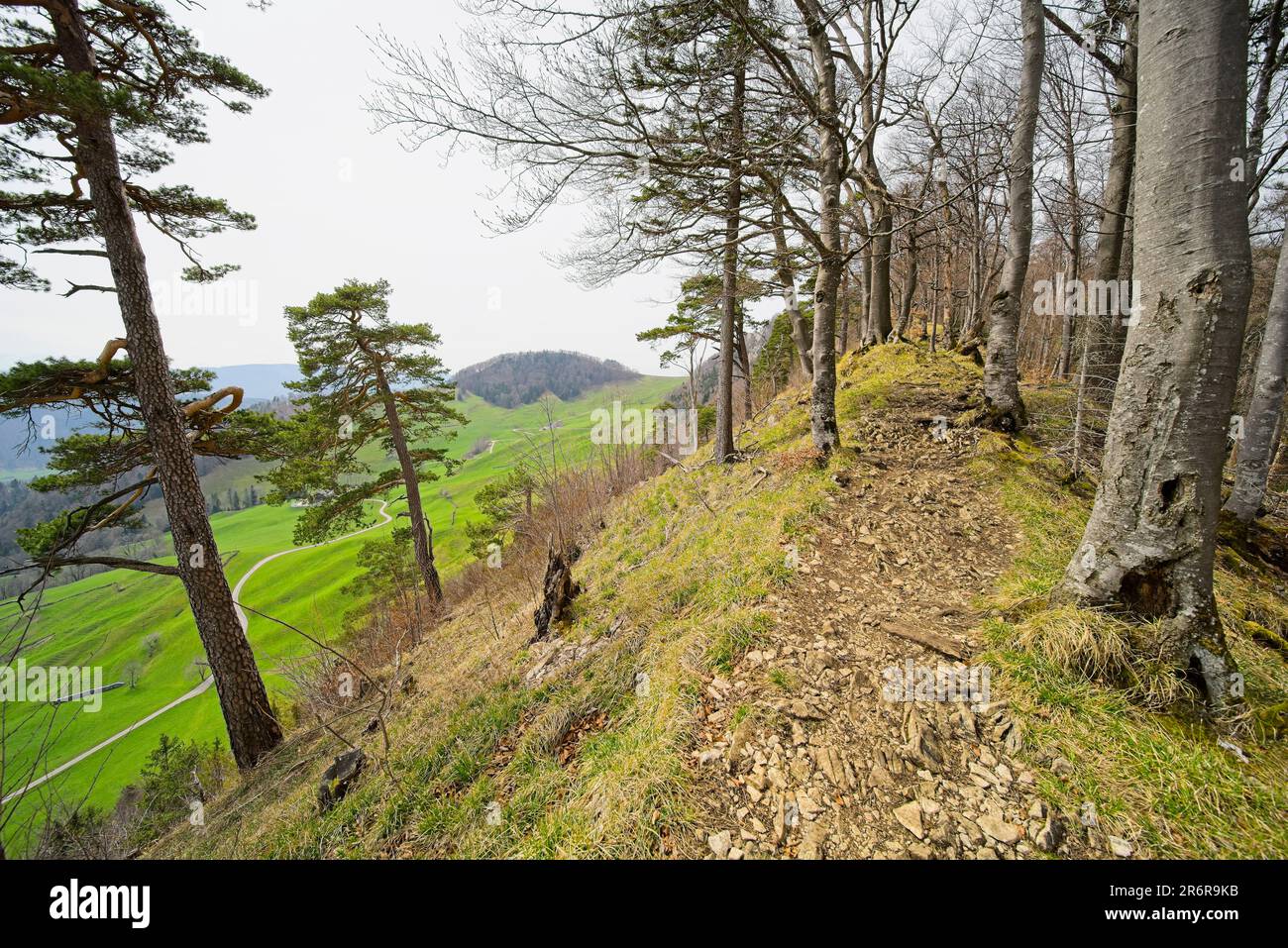 ridge hike on the vogelberg in the canton of solothurn in switzerland ...