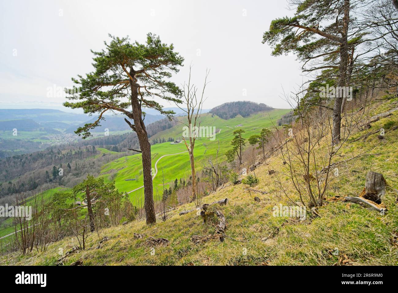 ridge hike on the vogelberg in the canton of solothurn in switzerland ...