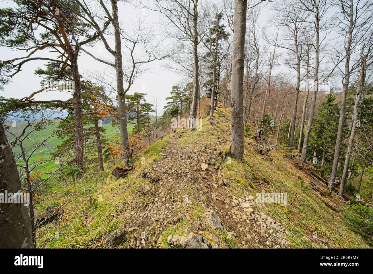 ridge hike on the vogelberg in the canton of solothurn in switzerland ...