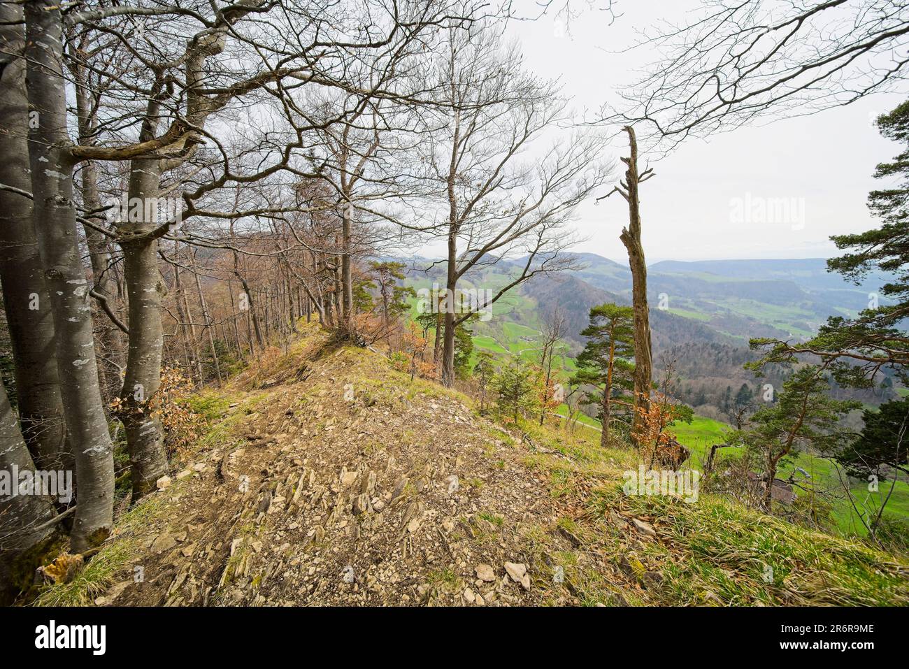 ridge hike on the vogelberg in the canton of solothurn in switzerland ...