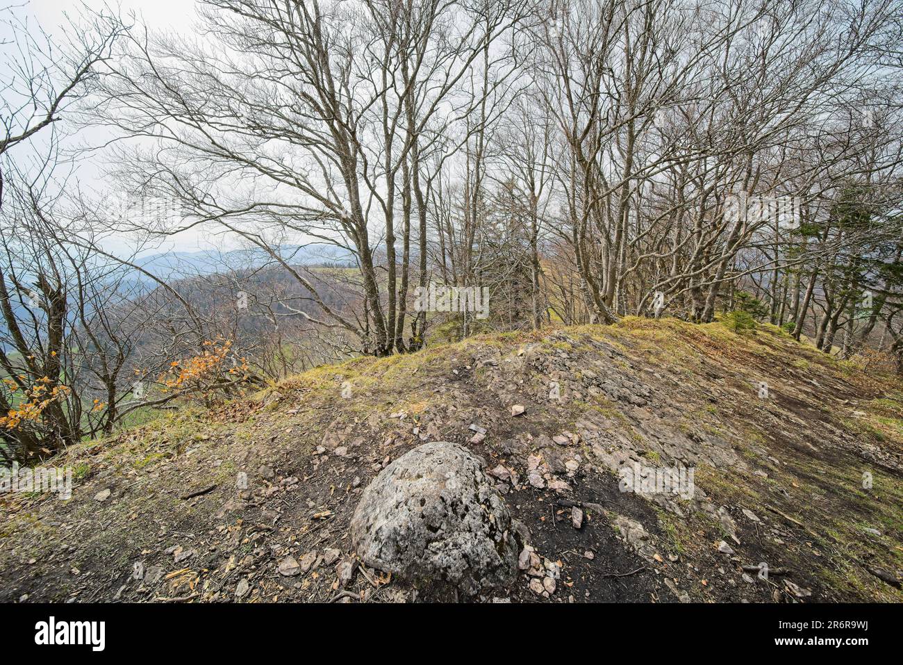 ridge hike on the vogelberg in the canton of solothurn in switzerland ...