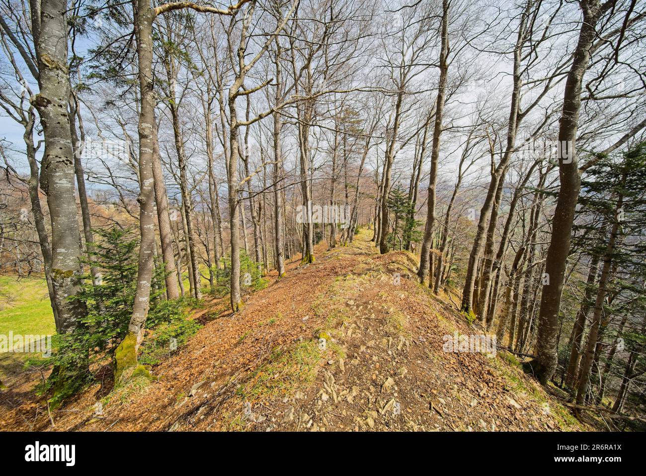 ridge hike on the vogelberg in the canton of solothurn in switzerland ...