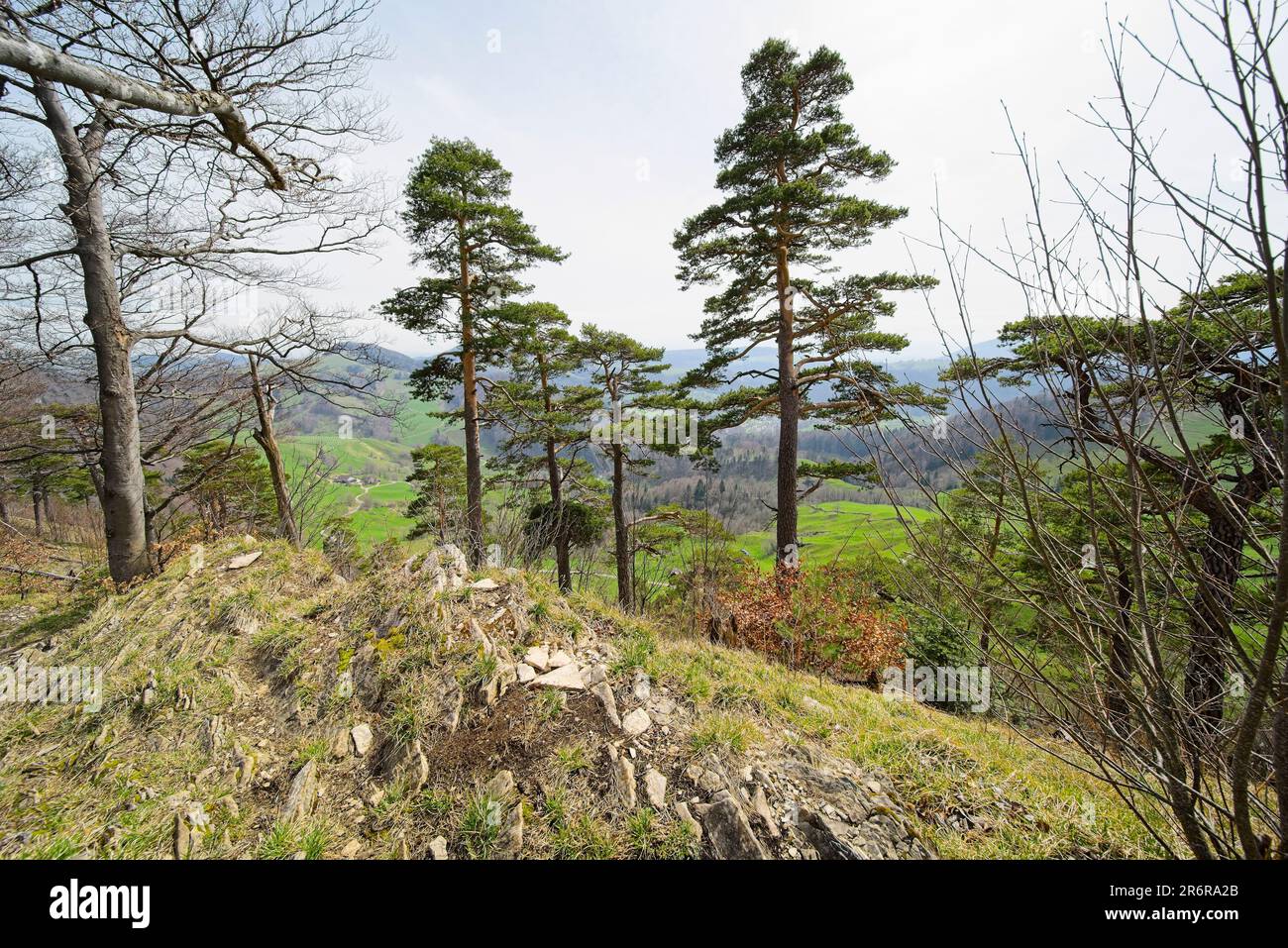 ridge hike on the vogelberg in the canton of solothurn in switzerland ...