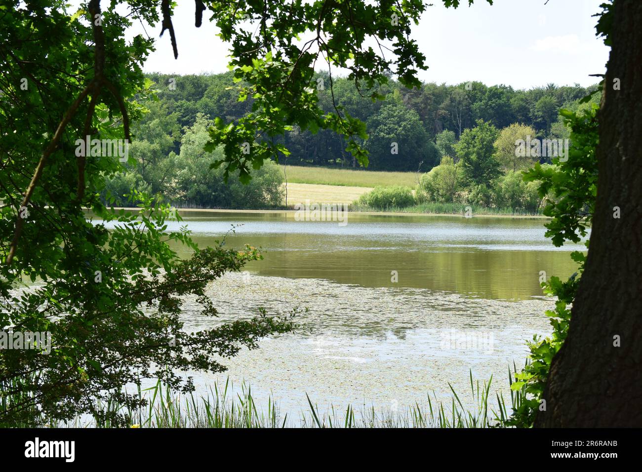 Caldera Lake Rodder Maar Stock Photo - Alamy