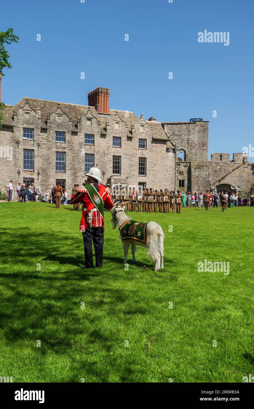 Royal Welsh Guards with mascot celebrate the reaffirmation for their ...