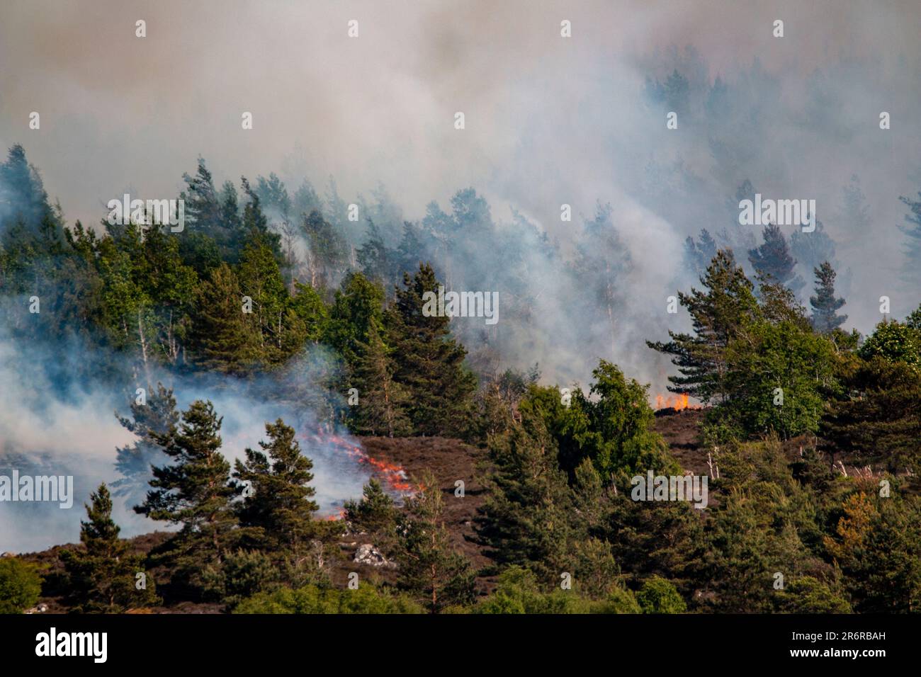 Daviot wildfire hi-res stock photography and images - Alamy