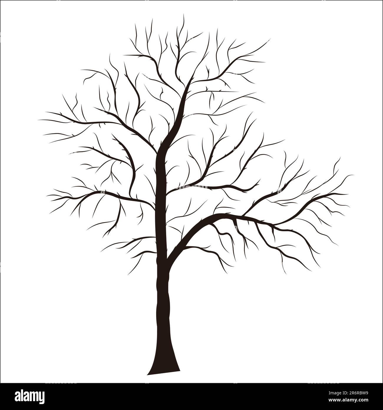 Tree silhouette - detailed vector. Element for design Stock Vector ...