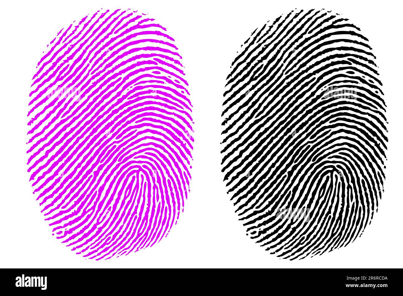 illustration of thumb impression on white background Stock Vector Image ...