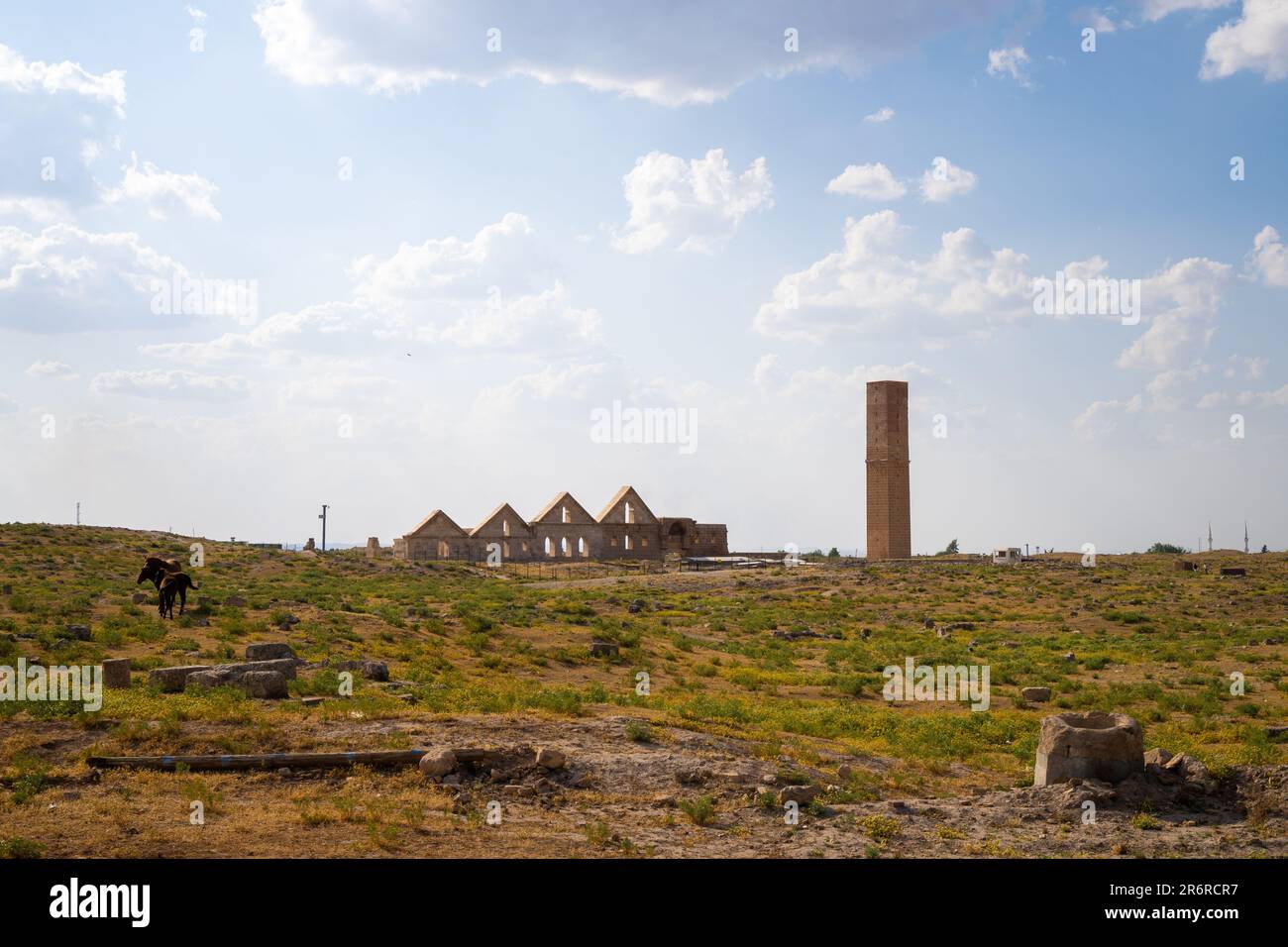 Ruins of the ancient city of Harran in Mesopotamia Stock Photo - Alamy