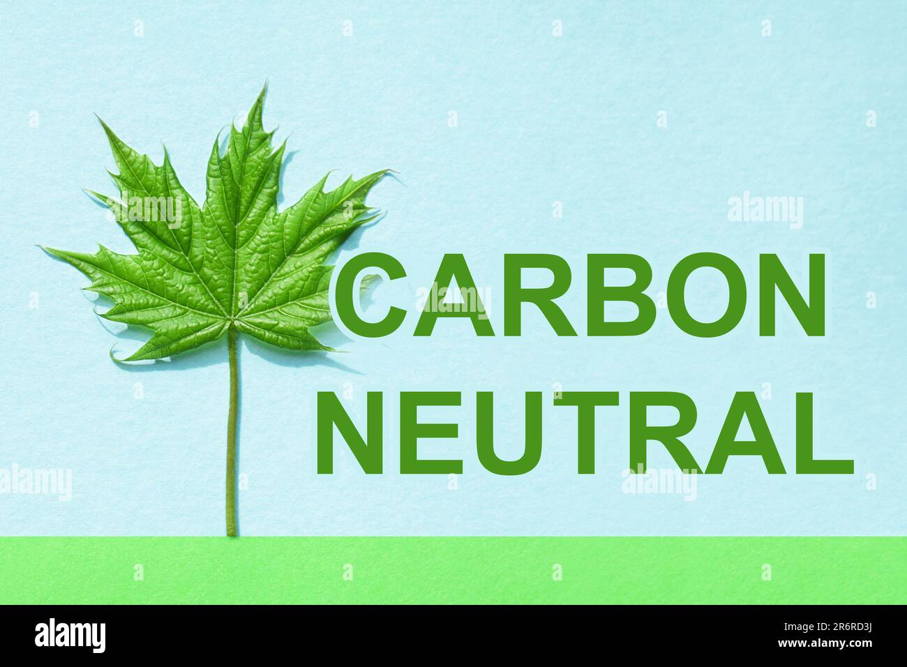 Leaf maple on blue background. Carbon Neutral. Eco save. Green energy ...