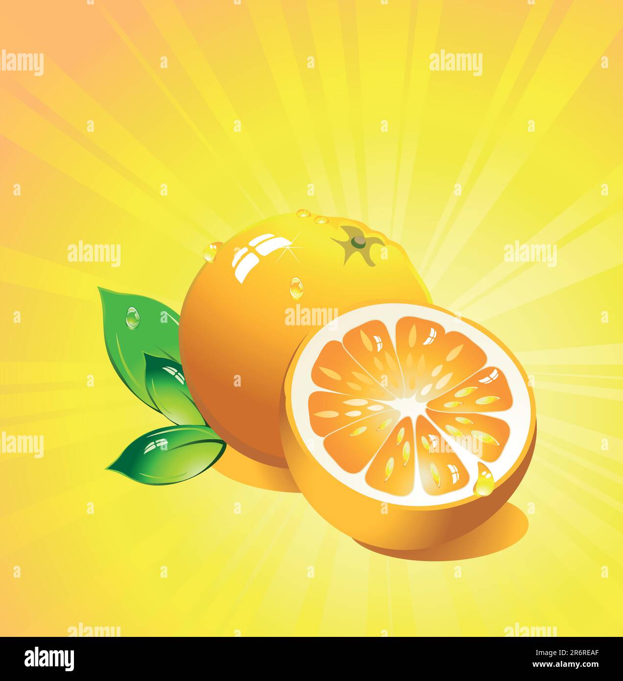 Orange citrus fruit. Vector Stock Vector Image & Art - Alamy