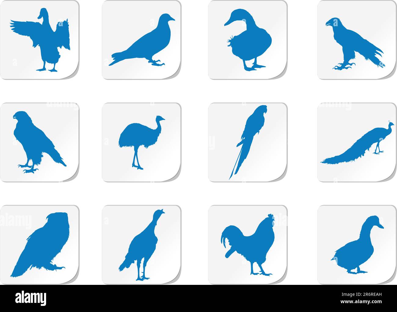 Set Birds. Vector. Similar works are in my galleries Stock Vector Image ...