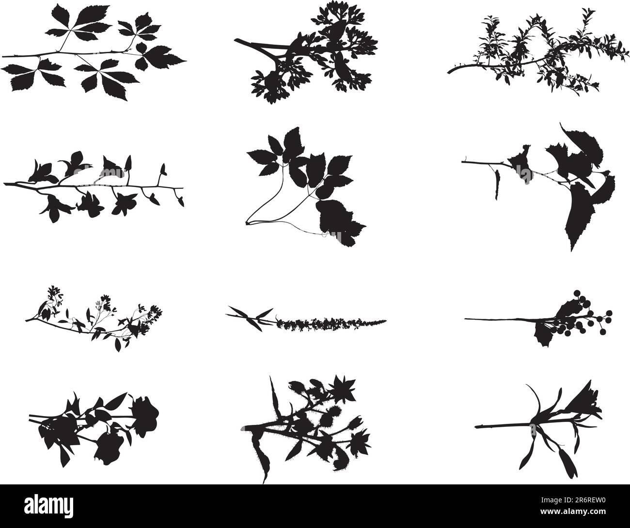 The set from silhouettes of leaves, is presented in the form of 12 ...