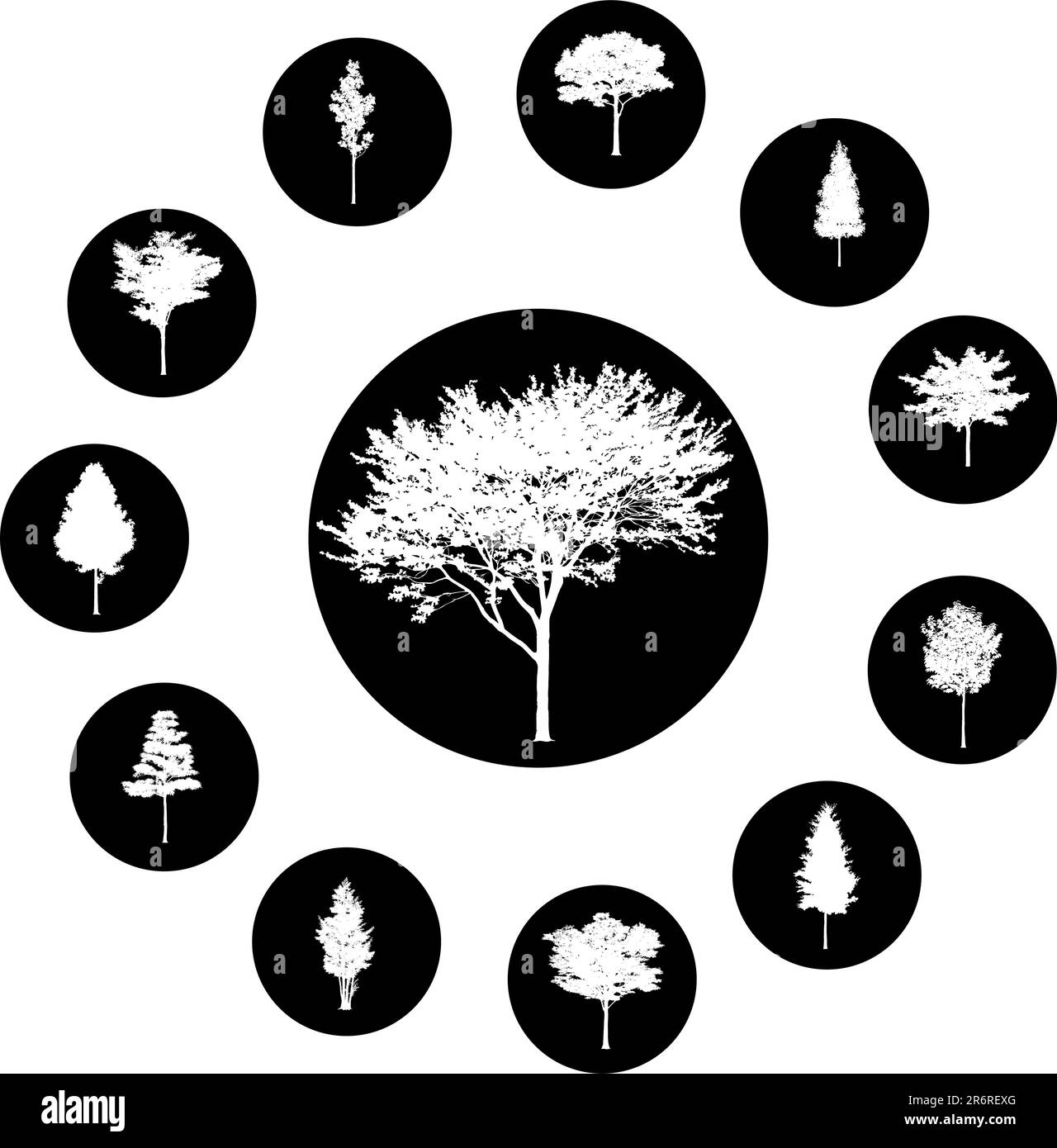 The set from silhouettes of trees, is presented in the form of 12 ...