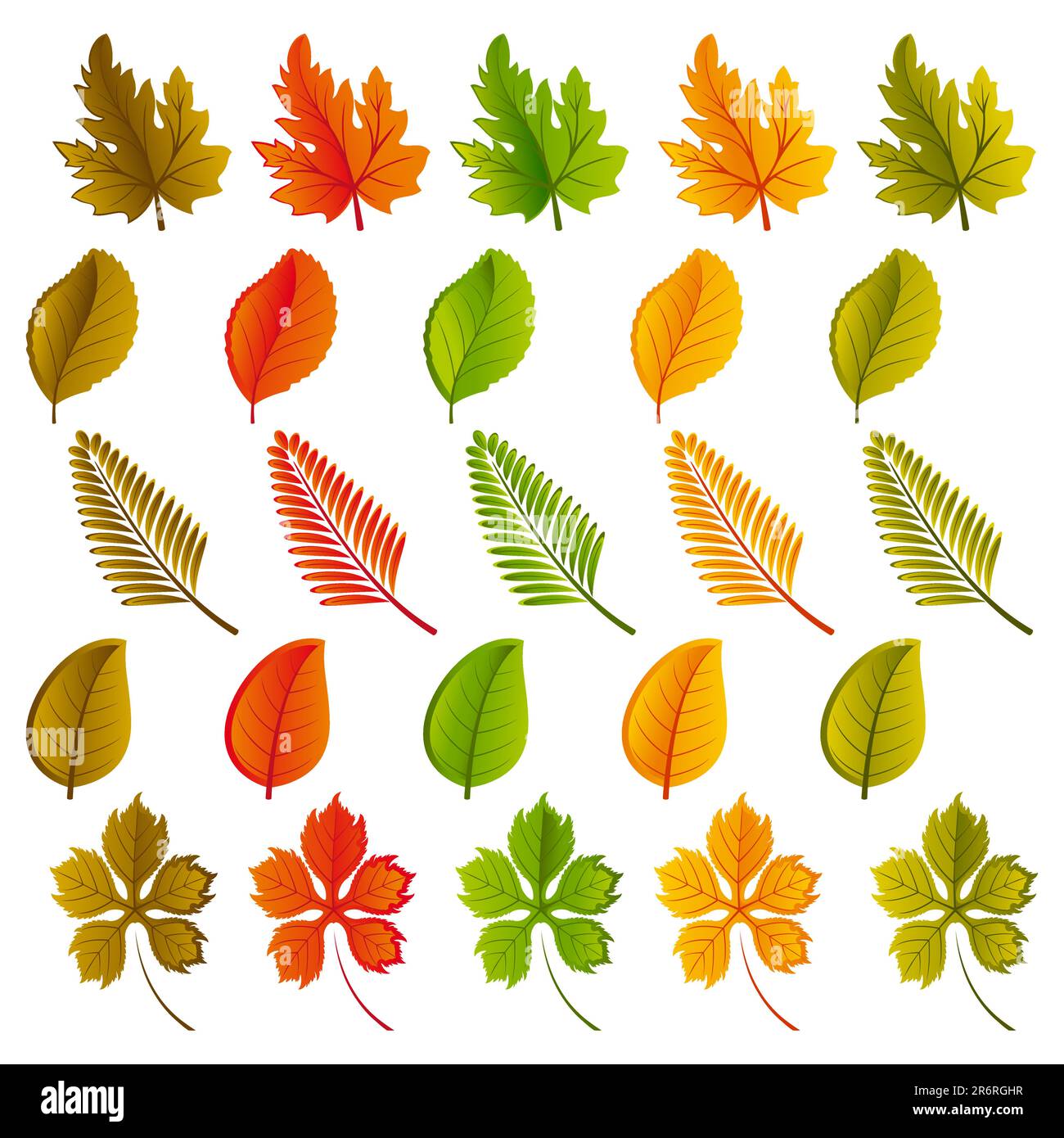 Set of leaves of various shapes and colors Stock Vector Image & Art - Alamy