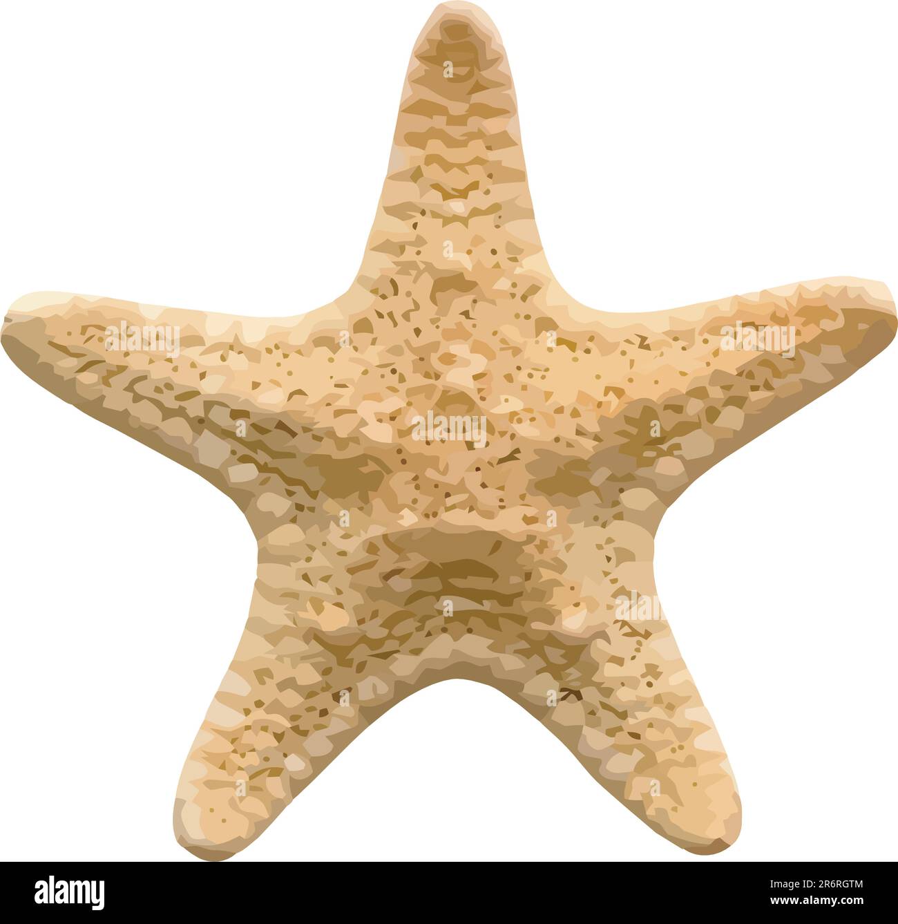 Vector starfish isolated on white background Stock Vector Image & Art ...