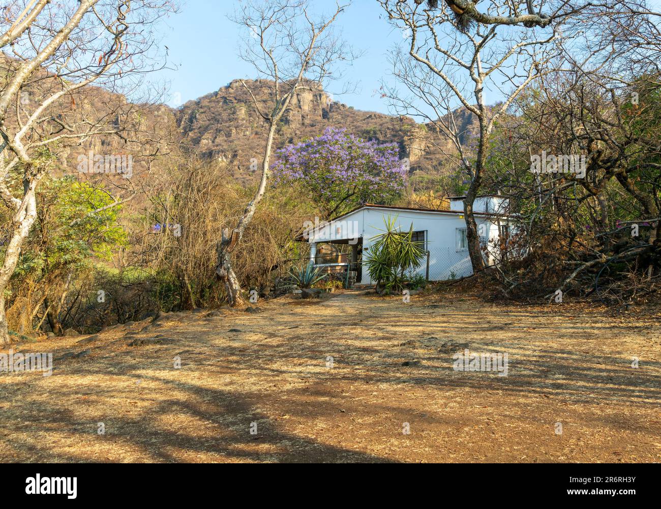 Rural house in mountainous wooded countryside, Santiago Tepetlapa, near ...