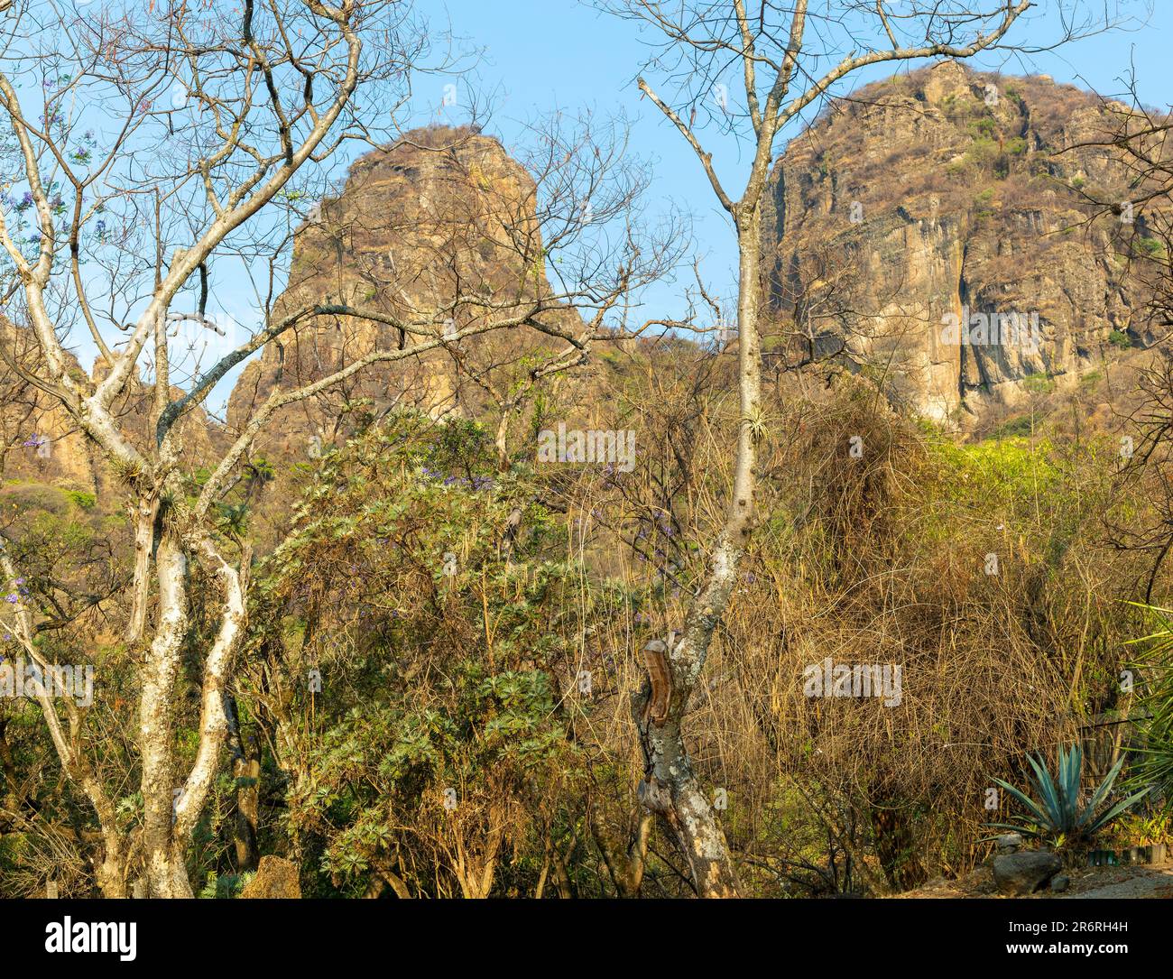 Mountainous wooded countryside, Santiago Tepetlapa, near Tepoztlán ...