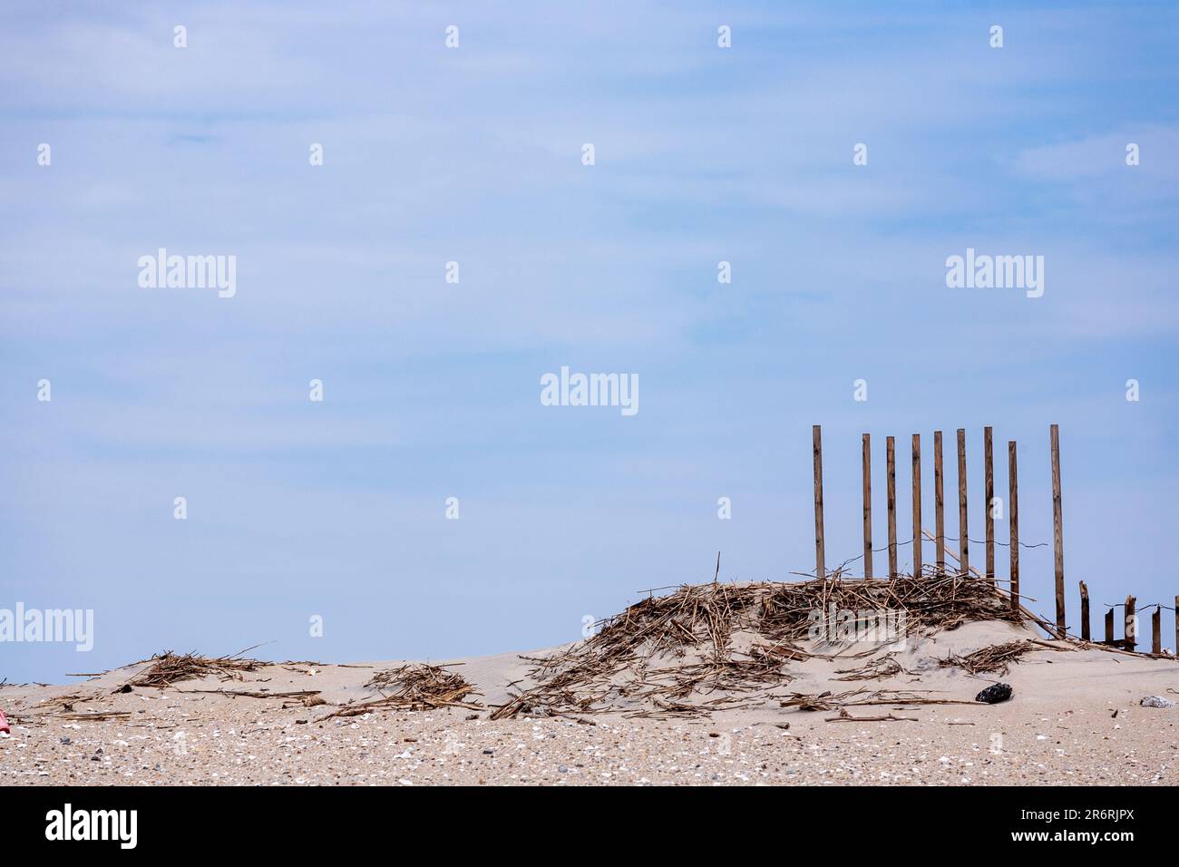 fence for protection of the dunes at the beautiful natural beach ...