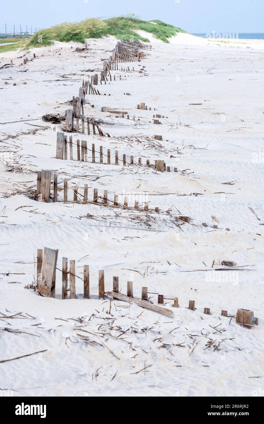 fence for protection of the dunes at the beautiful natural beach ...